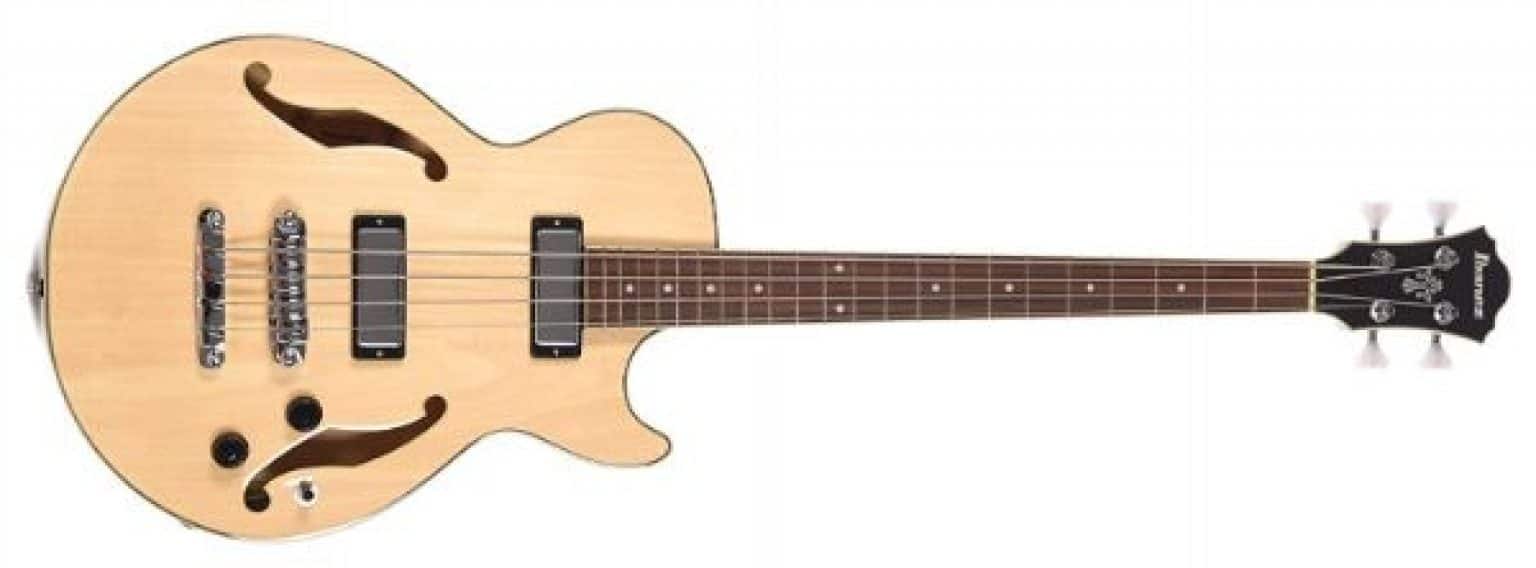 18 Types Of Guitars EVERY Guitar Enthusiast Should Learn TODAY