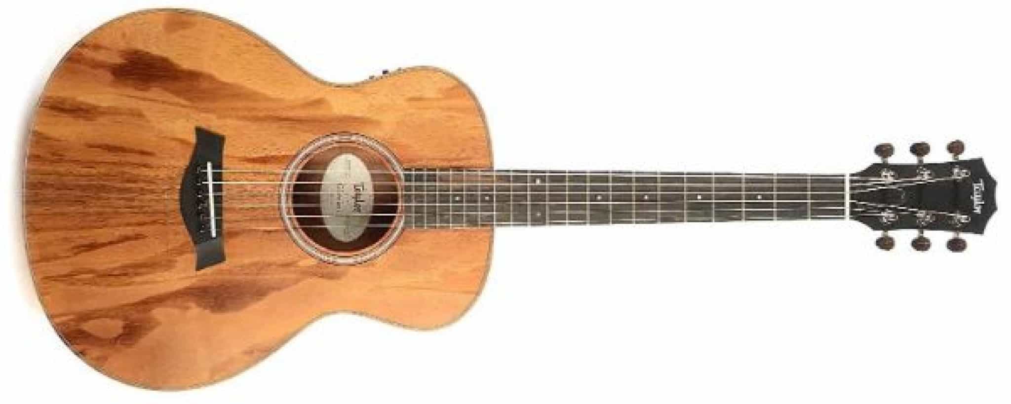 18 Types Of Guitars EVERY Guitar Enthusiast Should Learn TODAY