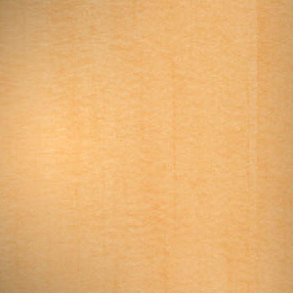 Guitar Tonewoods Guide: Which Wood Is Best For Your Guitar?