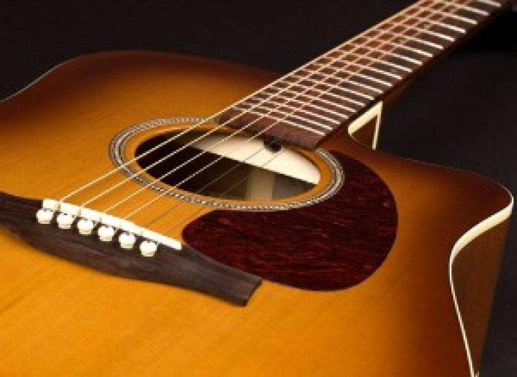 Seagull Entourage Review: Great Sounding Acoustic Guitar