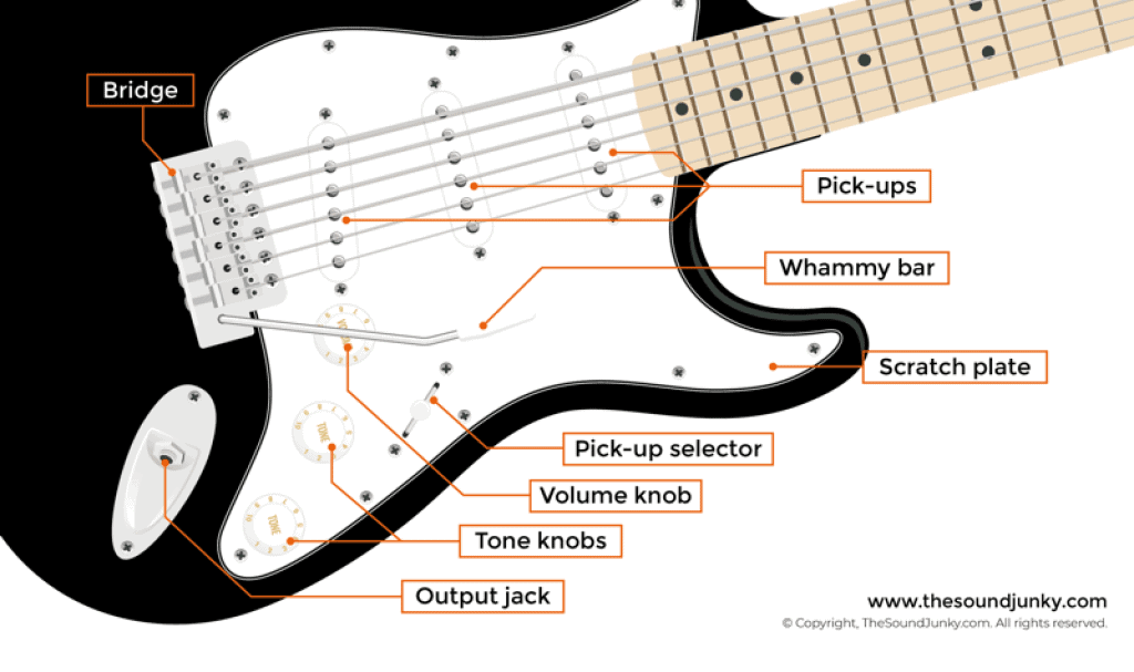 Parts of a Guitar Including String Labels, Fret Numbering & More!