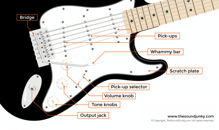 Parts of a Guitar Including String Labels, Fret Numbering & More!