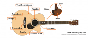 Parts of a Guitar Including String Labels, Fret Numbering & More!