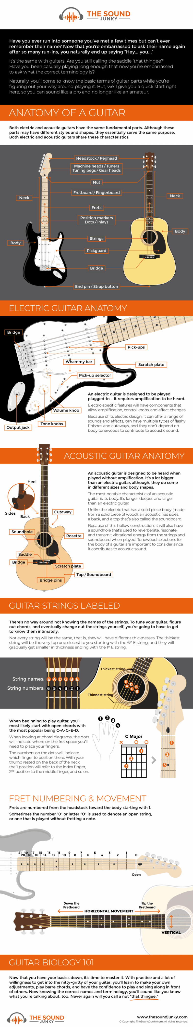 Parts of a Guitar Including String Labels, Fret Numbering & More!