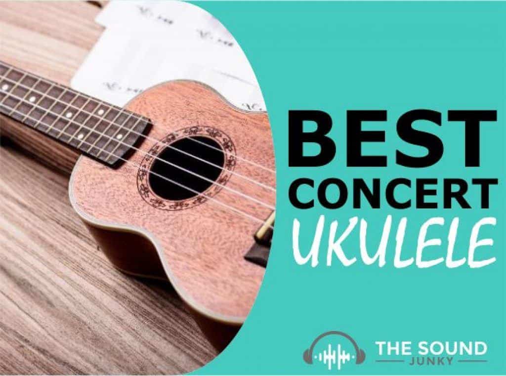7 Best Concert Ukuleles In 2024 - All Budgets Reviewed