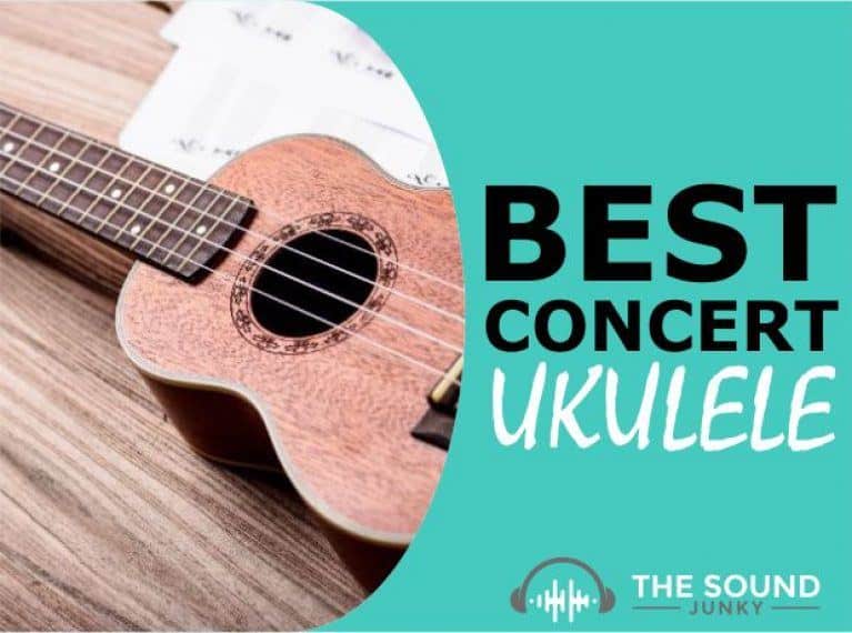 7 Best Concert Ukuleles In 2024 - All Budgets Reviewed