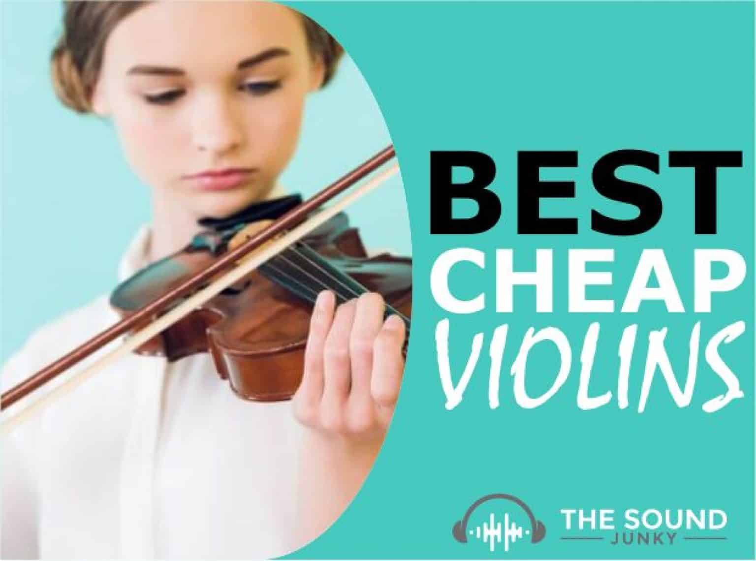 10 Best Cheap Violins In 2022 (Most Under $100)