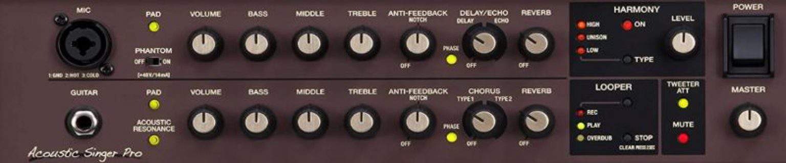 5 Best Acoustic Guitar Amps In 2026 (Handpicked by Musician)