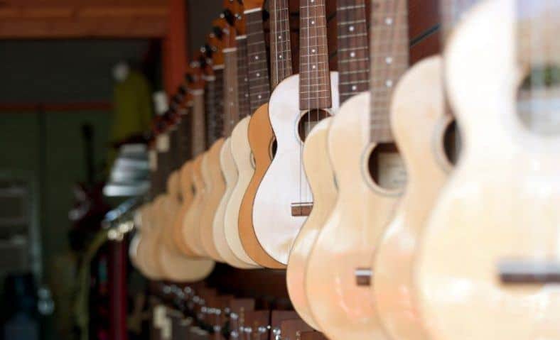 10 Different Types Of Ukuleles & Their Uses (Incl. Videos)