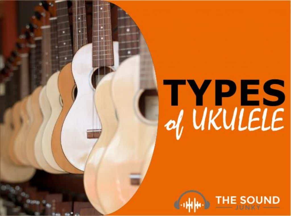 10 Different Types Of Ukuleles & Their Uses (Incl. Videos)