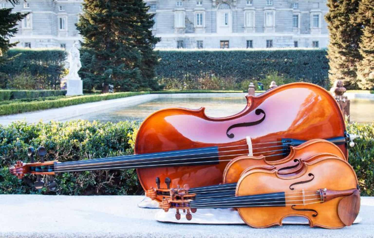 Cello Vs Violin We Compare The Pros Cons Of Both Instruments Cello Vs Violin We Compare The Pros Cons Of Both Instruments