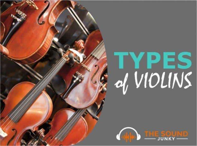 Different Types Of Violins - What Are They & Which Is Best For You?