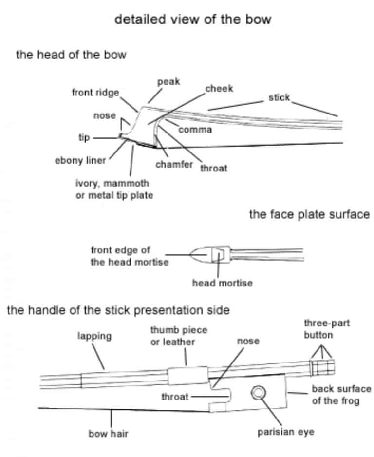 Violin Anatomy - Discover All Of The Parts Of A Violin (Videos Included)