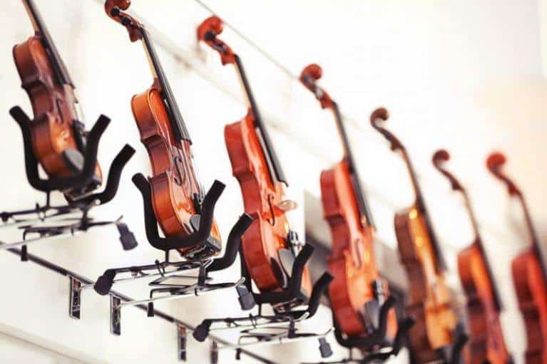 Different Types Of Violins - What Are They & Which Is Best For You?