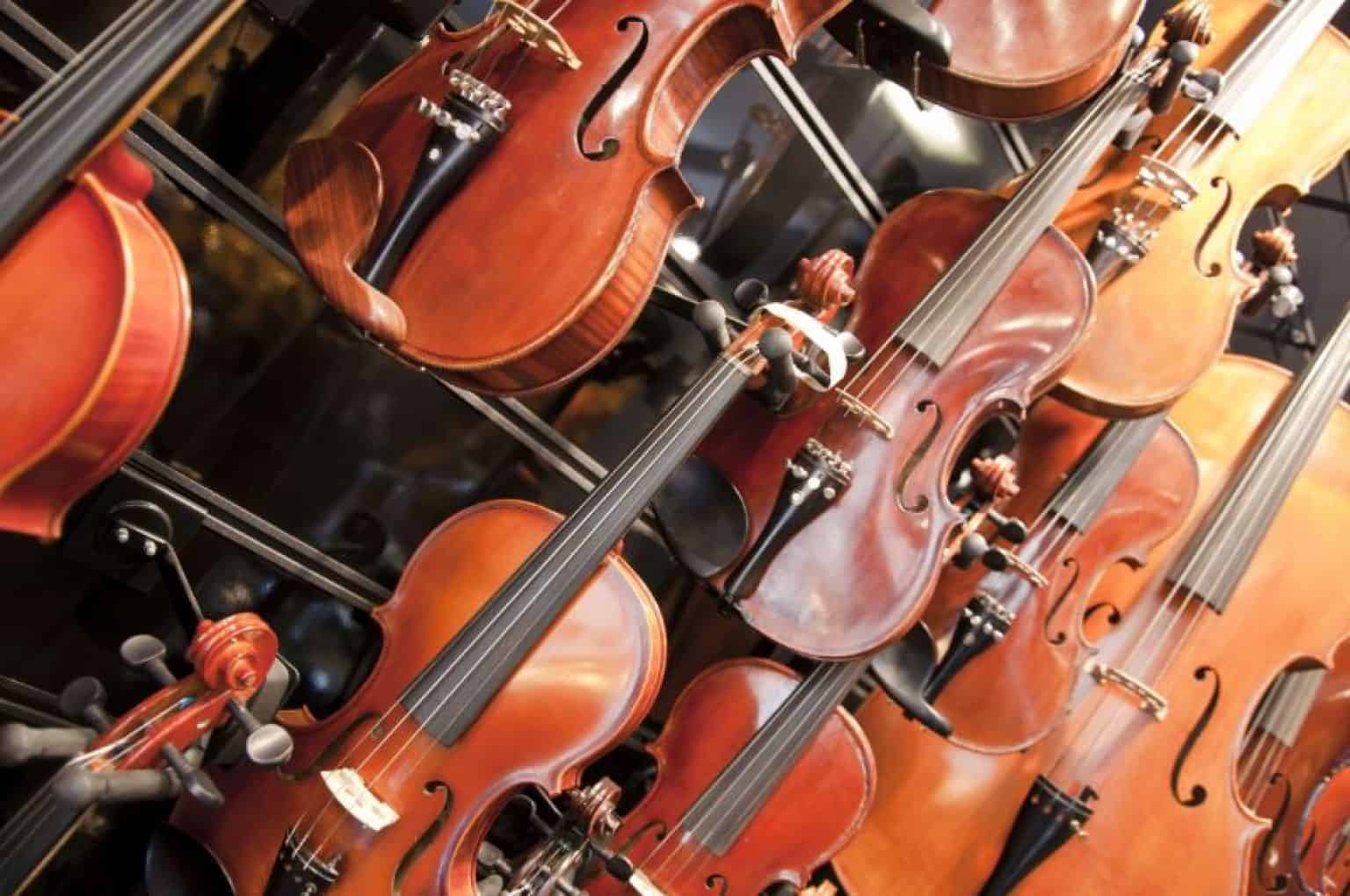 Different Types Of Violins - What Are They & Which Is Best For You?