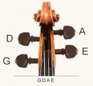 Violin Anatomy - Discover All Of The Parts Of A Violin (Videos Included)